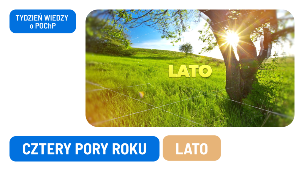 Cztery pory roku: lato - Oddychajmy.pl – portal wiedzy o POChP